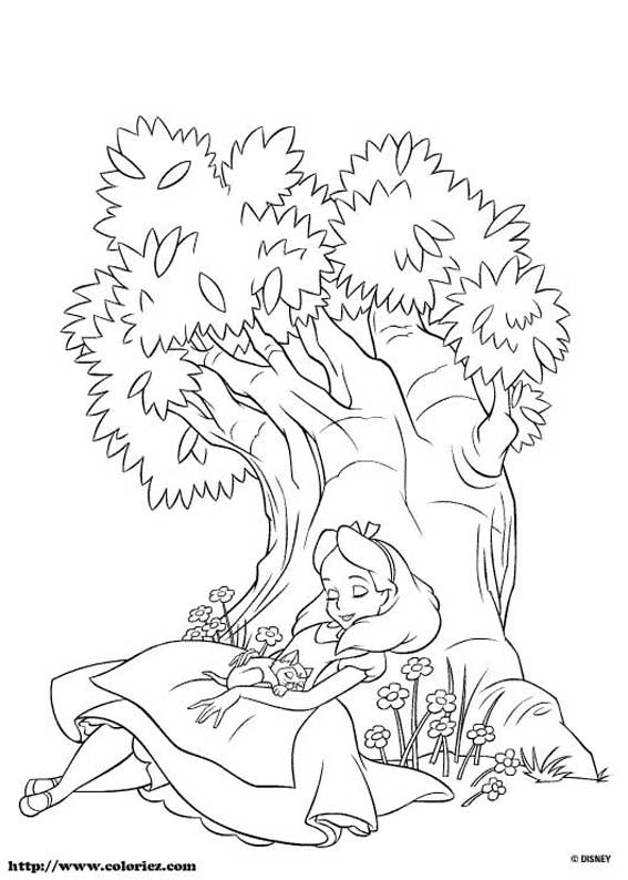 coloriage chenille alice au pays des merveilles coloriage chenille alice au pays des merveilles